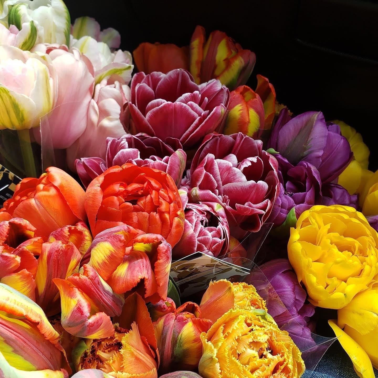 Spring Tulip Bunch | Rusty Shovel Gardens, LLC